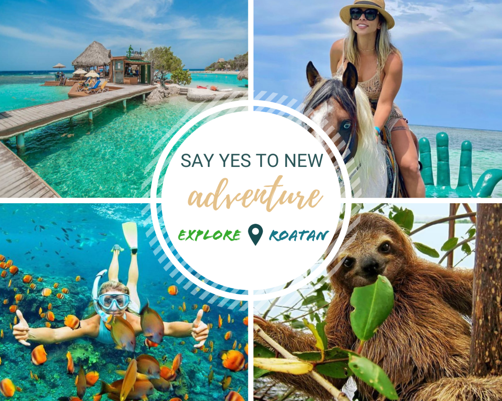 Explore Roatan - Home